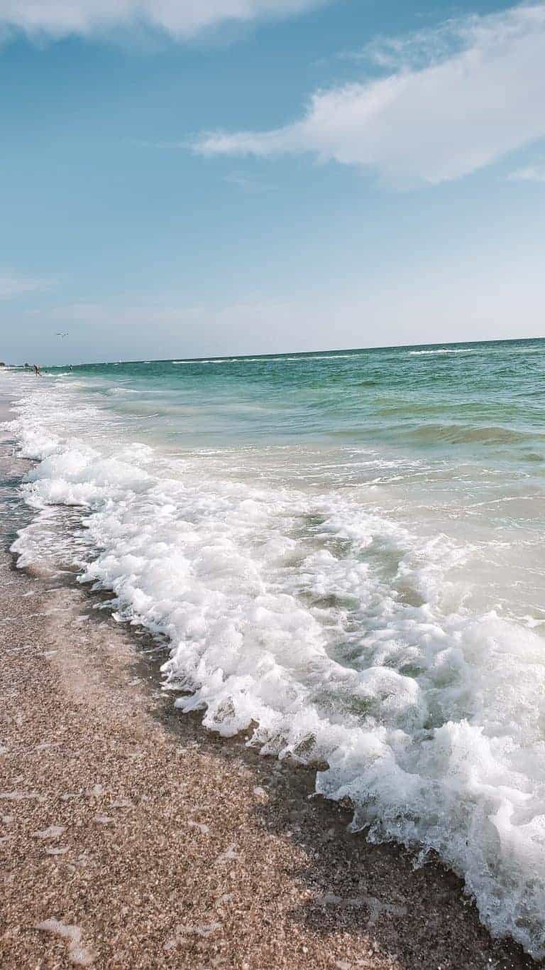 20 Prettiest Clear Water Beaches in Florida: Reviewed by a Local ...