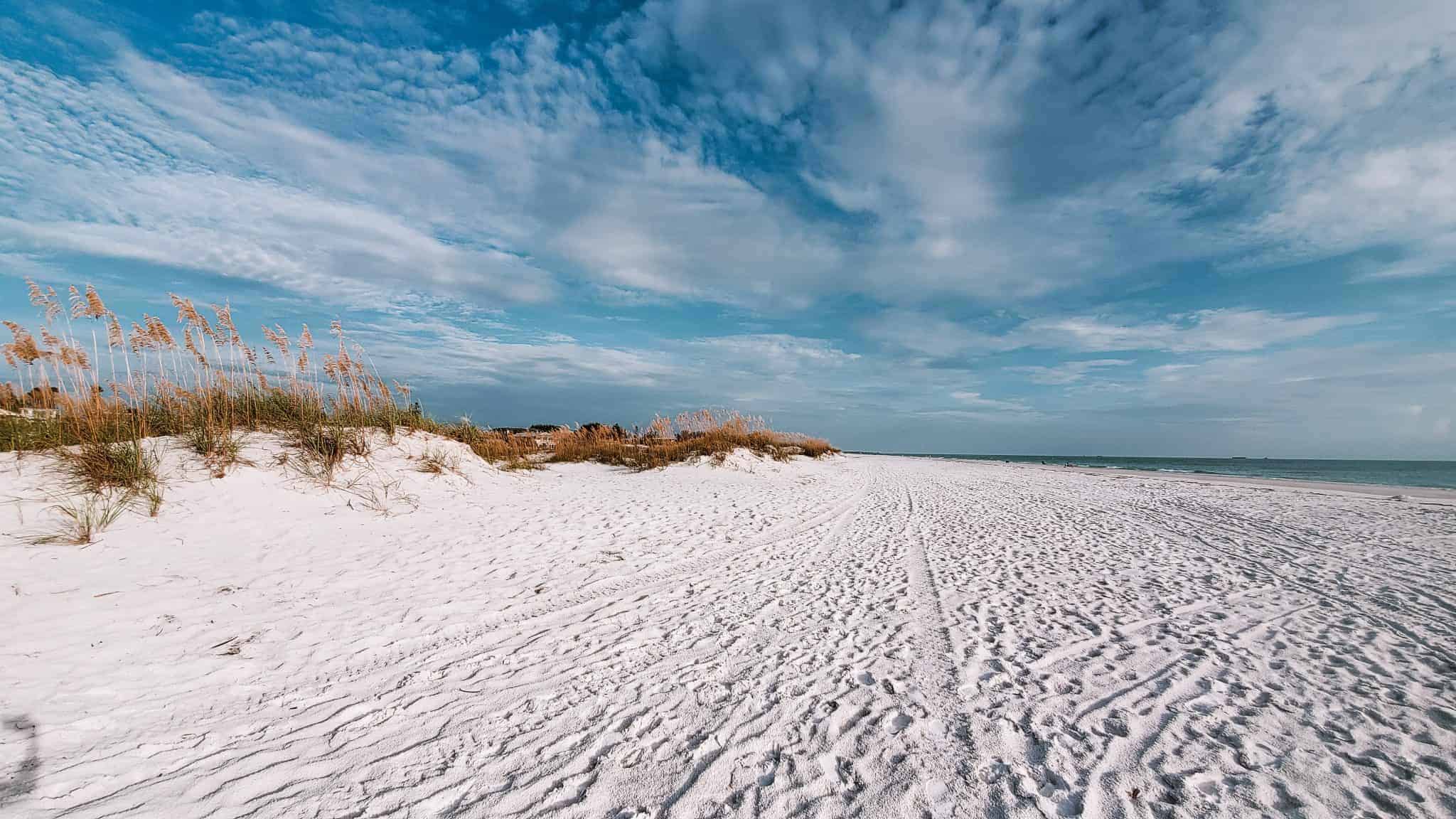20 Prettiest Clear Water Beaches in Florida: Reviewed by a Local ...