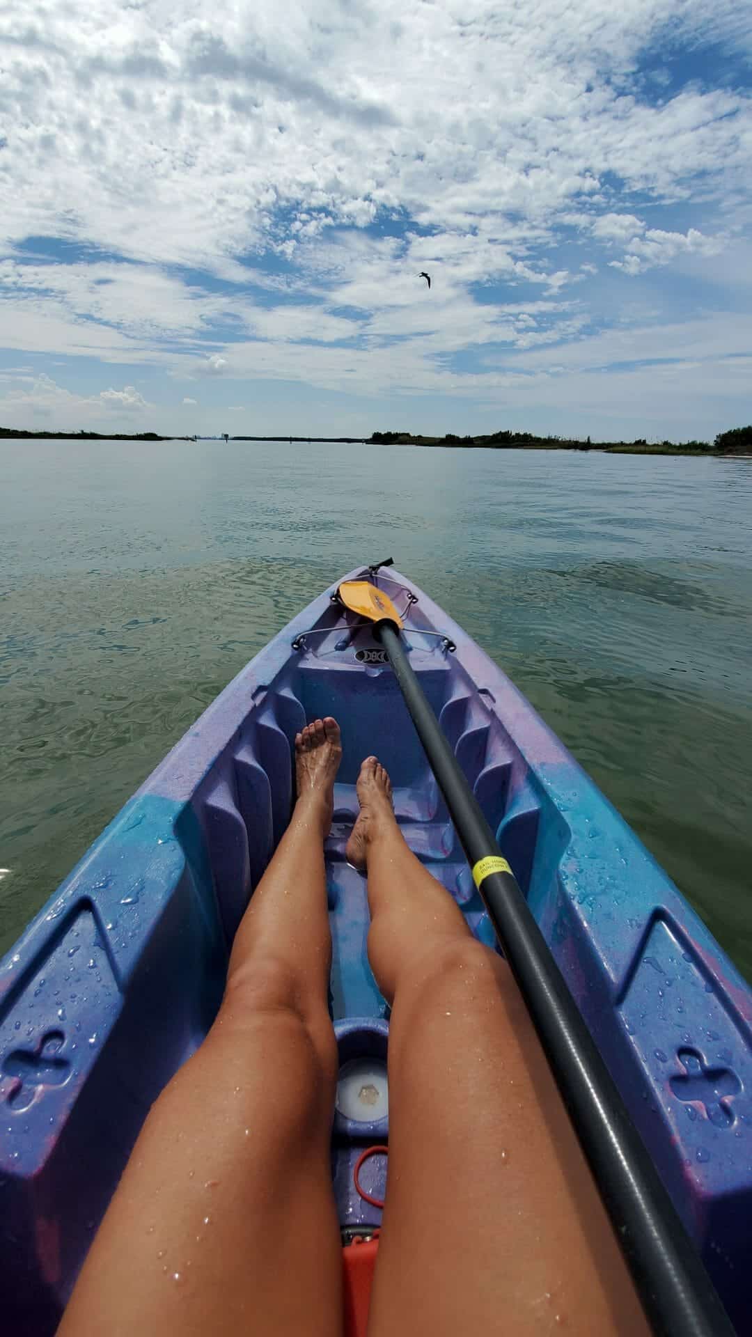 10 Best National & State Parks to Go Kayaking in Florida - Paula Pins ...