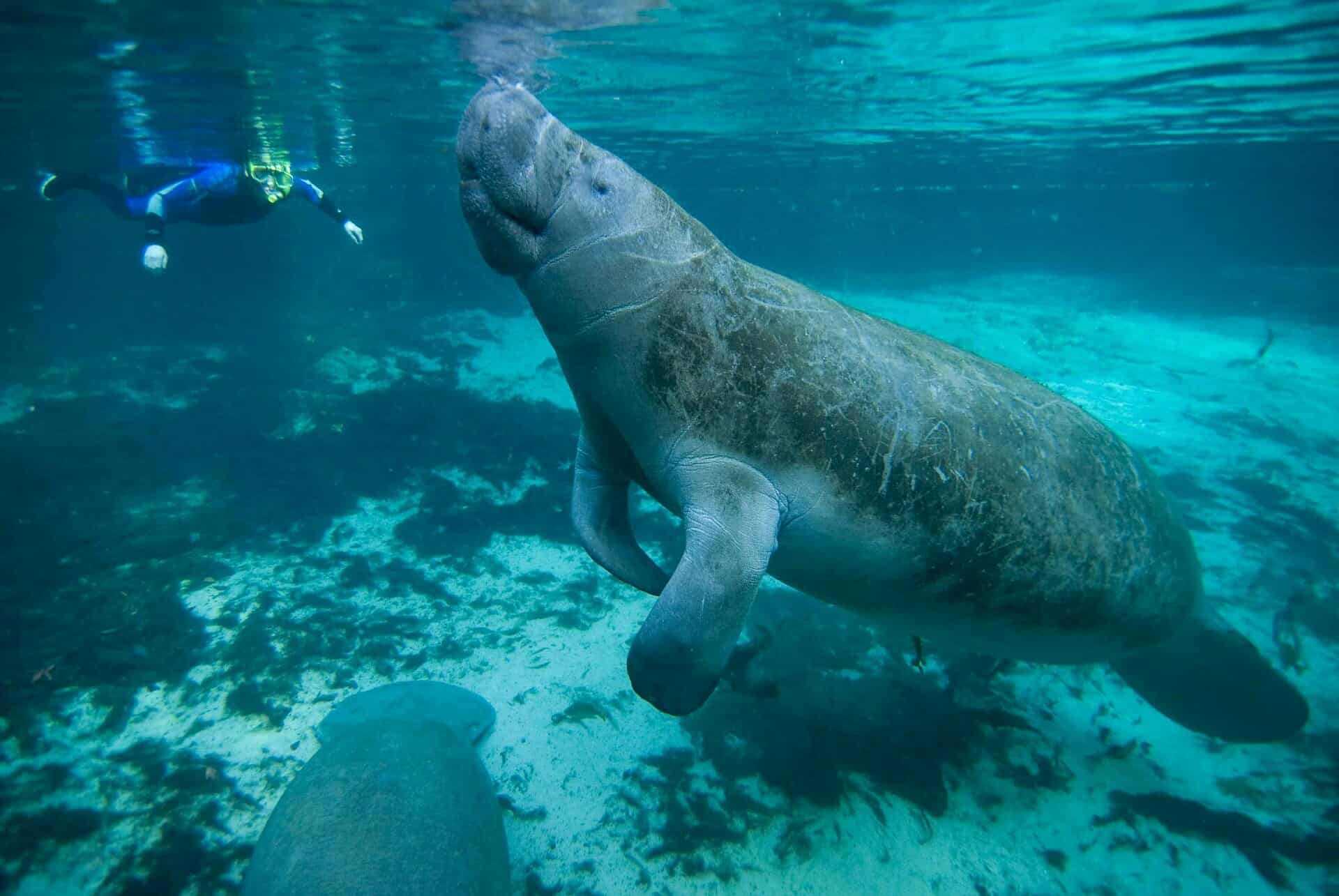 Off The Beaten Path Florida: 20 Hidden Gems Revealed by a Local ...