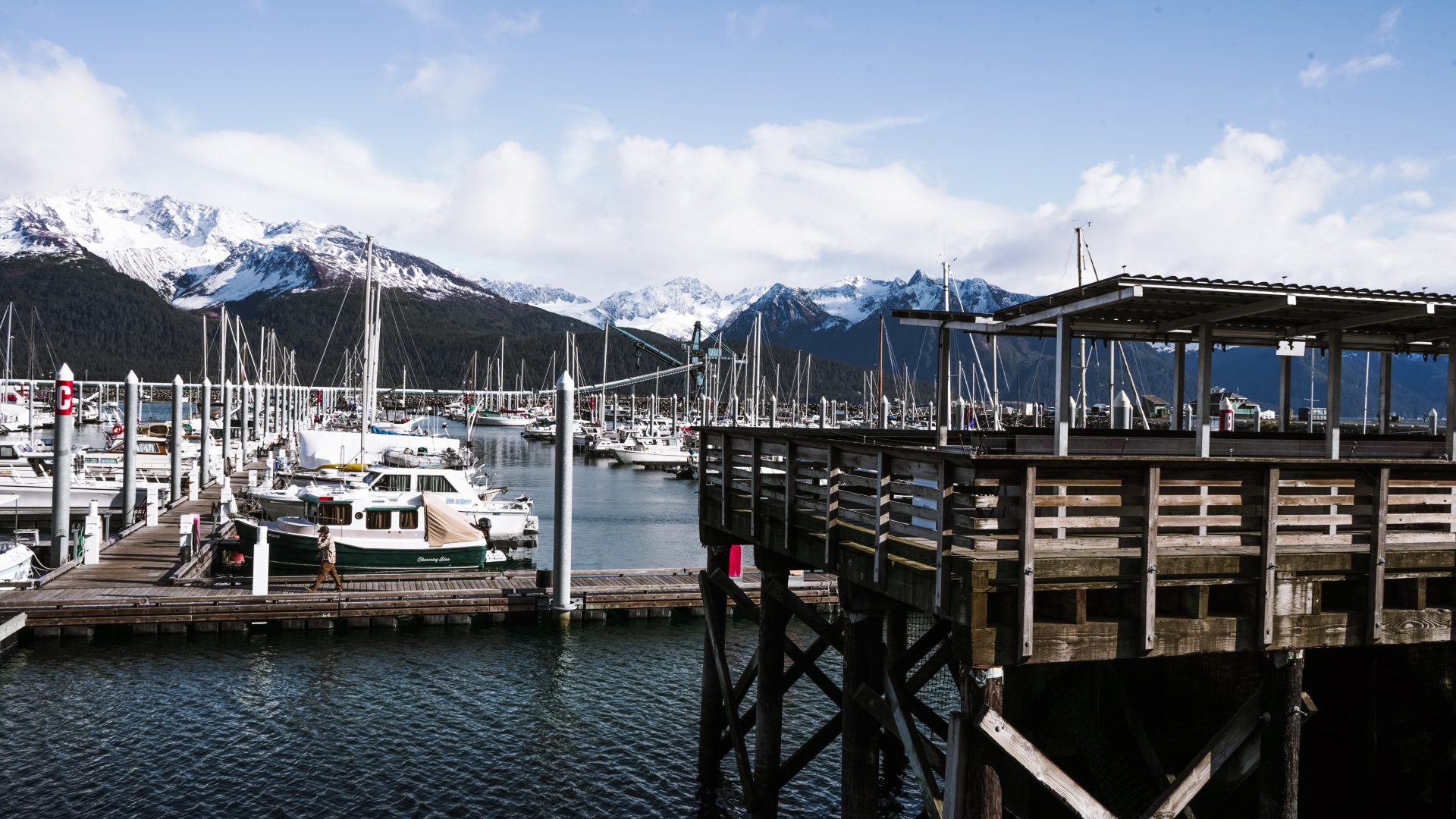 30 Epic Things to do in Seward, AK + a Complete City Guide - Paula Pins ...