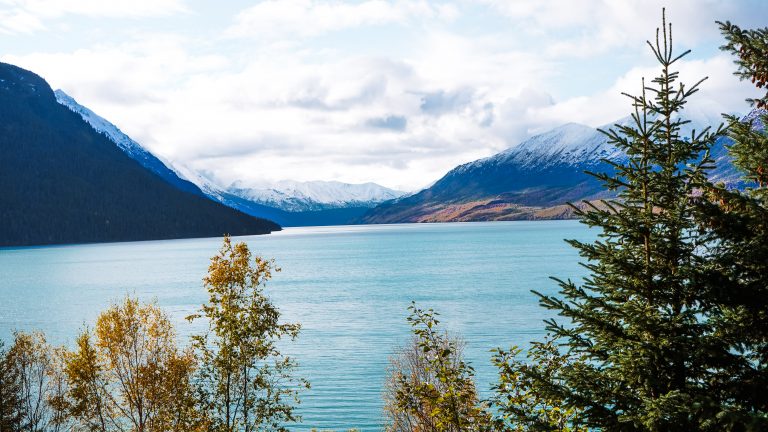 30 Epic Things to do in Seward, AK + a Complete City Guide - Paula Pins ...