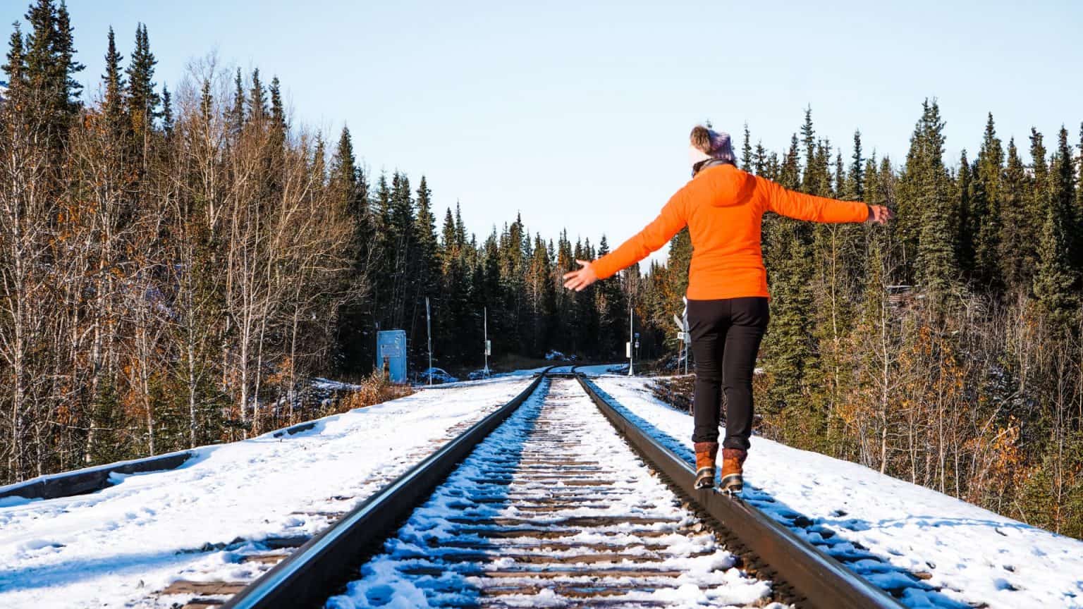 10 Adventurous Things to do in Denali National Park + 20 Hikes in ...