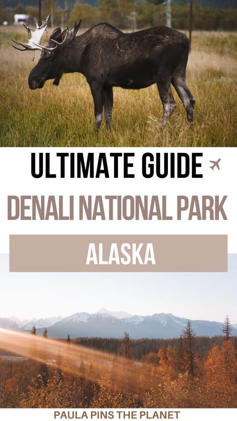 How to Visit Denali National Park: Practical Guide - Paula Pins The Planet