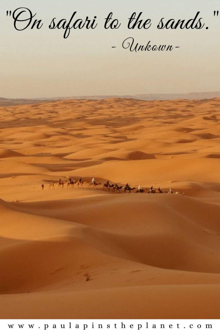 150+ Best Desert Quotes for Instagram & Desert Captions (Sharable ...