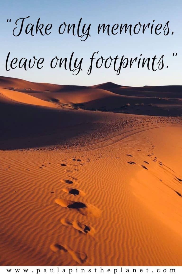 150+ Best Desert Quotes for Instagram & Desert Captions (Sharable ...