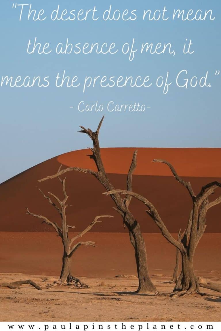 150+ Best Desert Quotes for Instagram & Desert Captions (Sharable ...