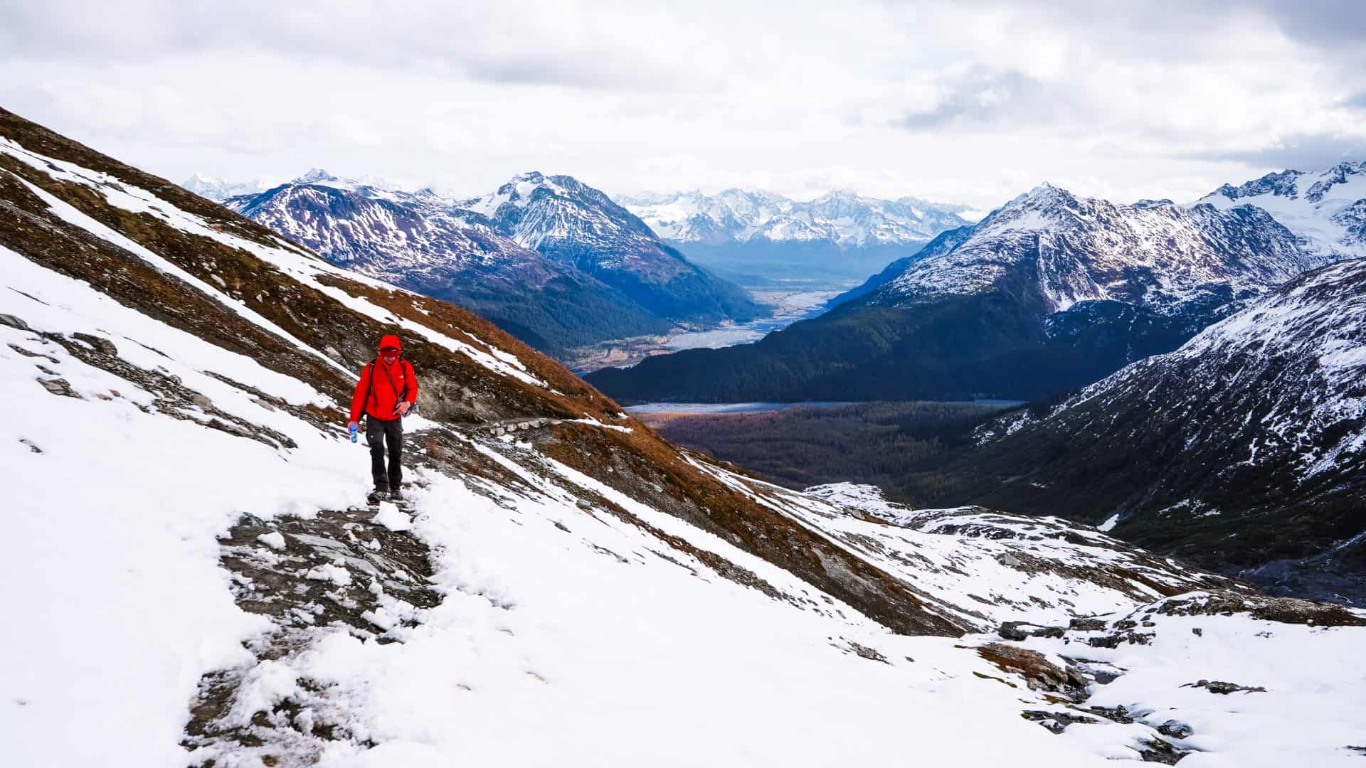 Harding Icefield Trail in Alaska: The Complete Hiking Guide - Paula ...