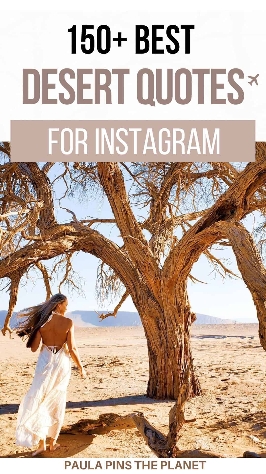 150+ Best Desert Quotes for Instagram & Desert Captions (Sharable ...