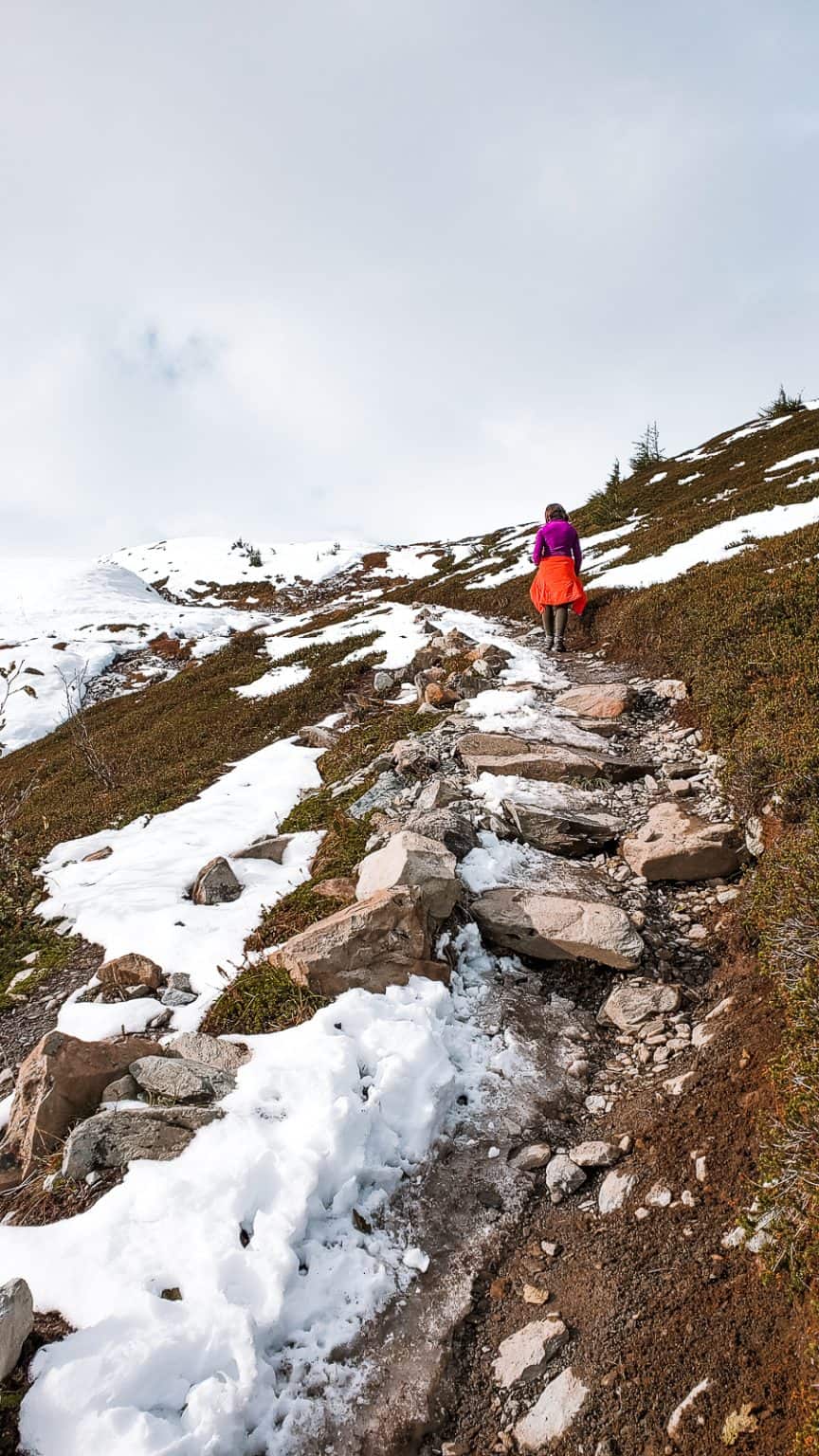Harding Icefield Trail in Alaska: The Complete Hiking Guide - Paula ...