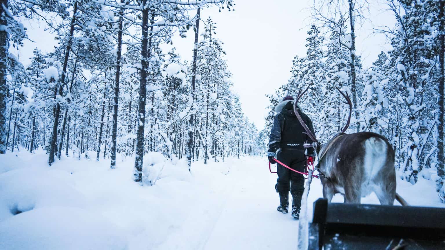 17 Best Glass Igloos in Finland