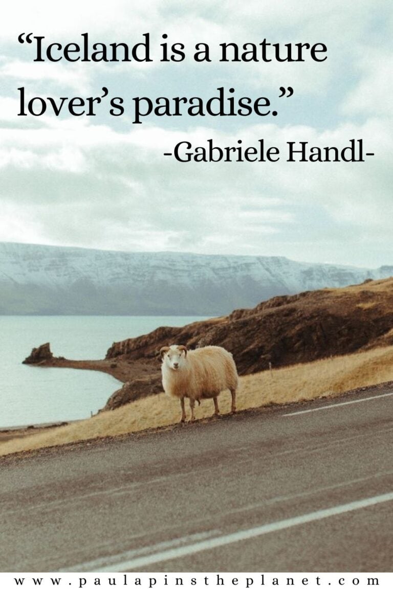 150+ Inspiring Iceland Quotes & Captions (Sharable Images) - Paula Pins ...