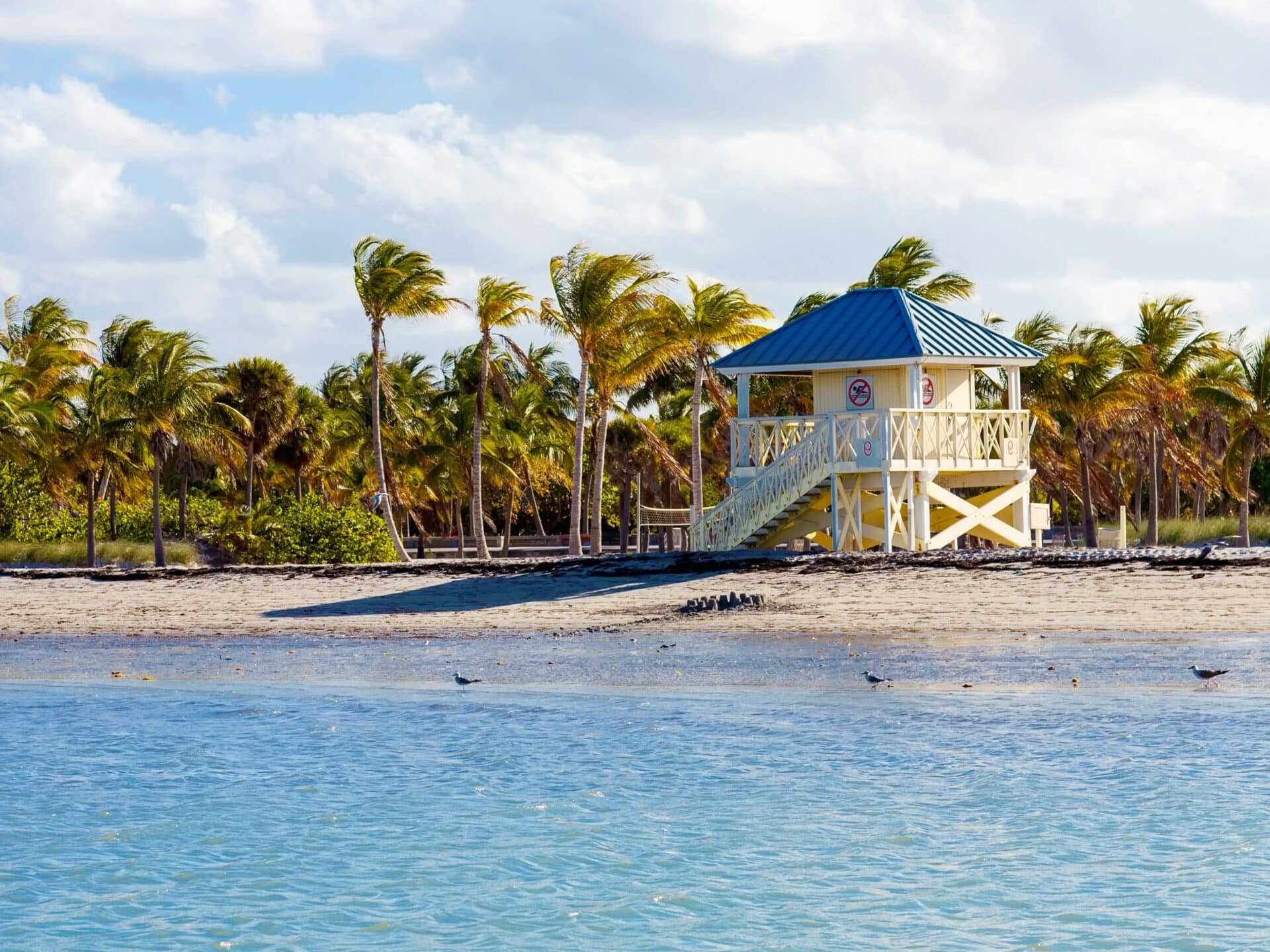 20 Prettiest Clear Water Beaches in Florida: Reviewed by a Local ...