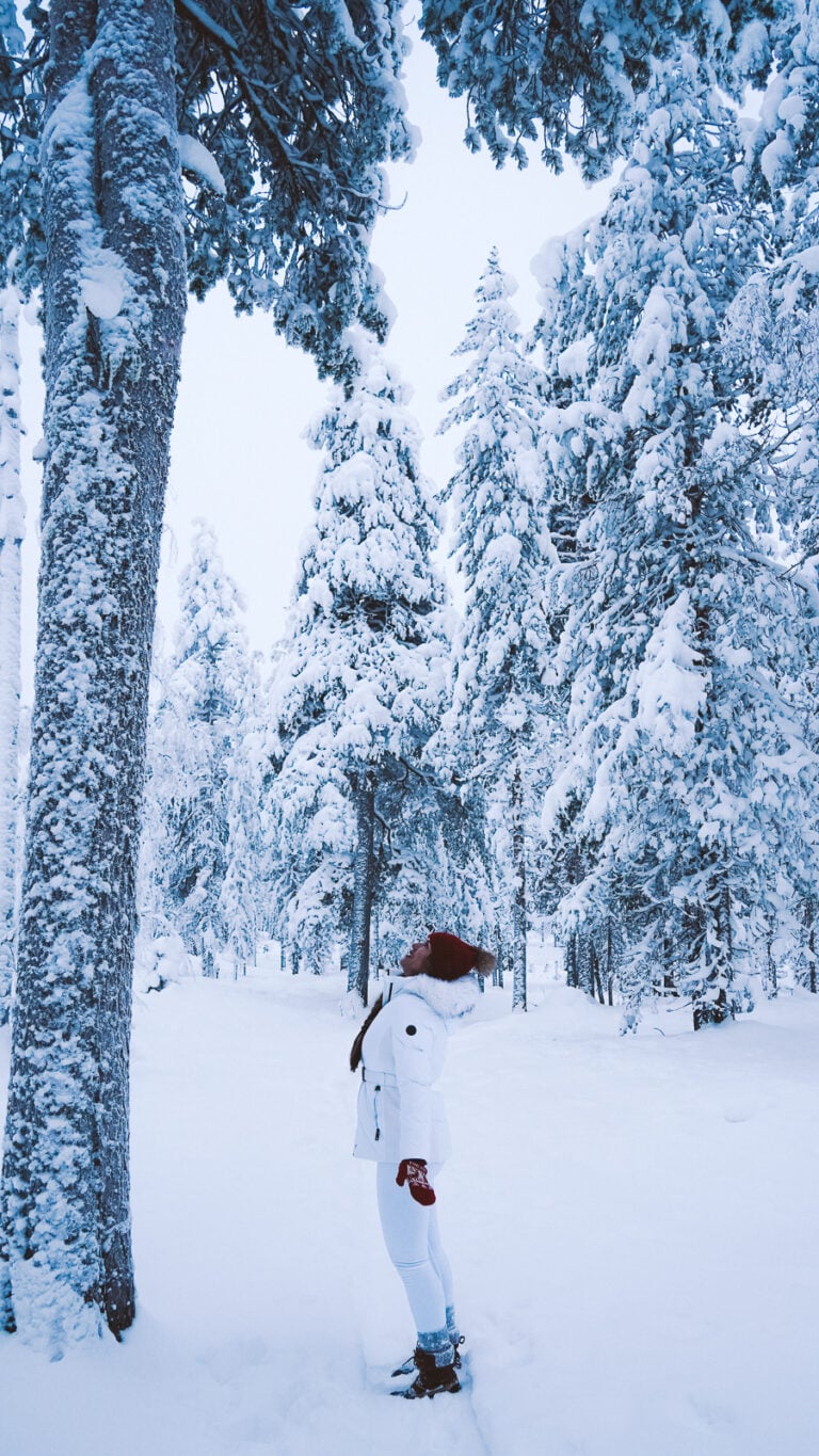 Lapland in Winter: 20 Best Things to do in Lapland in 2023