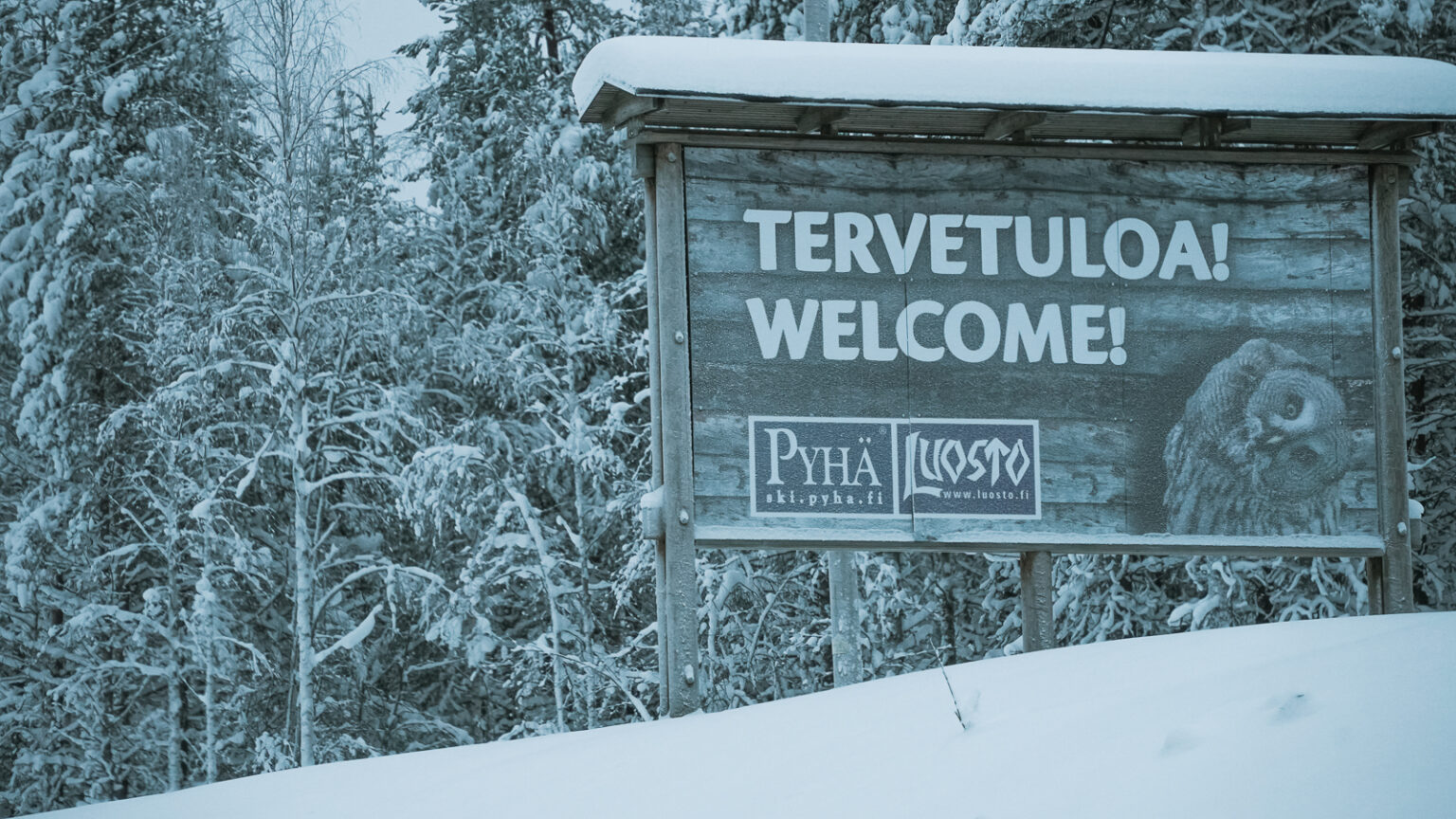How to Visit Pyhä-Luosto National Park in Lapland, Finland - Paula Pins ...