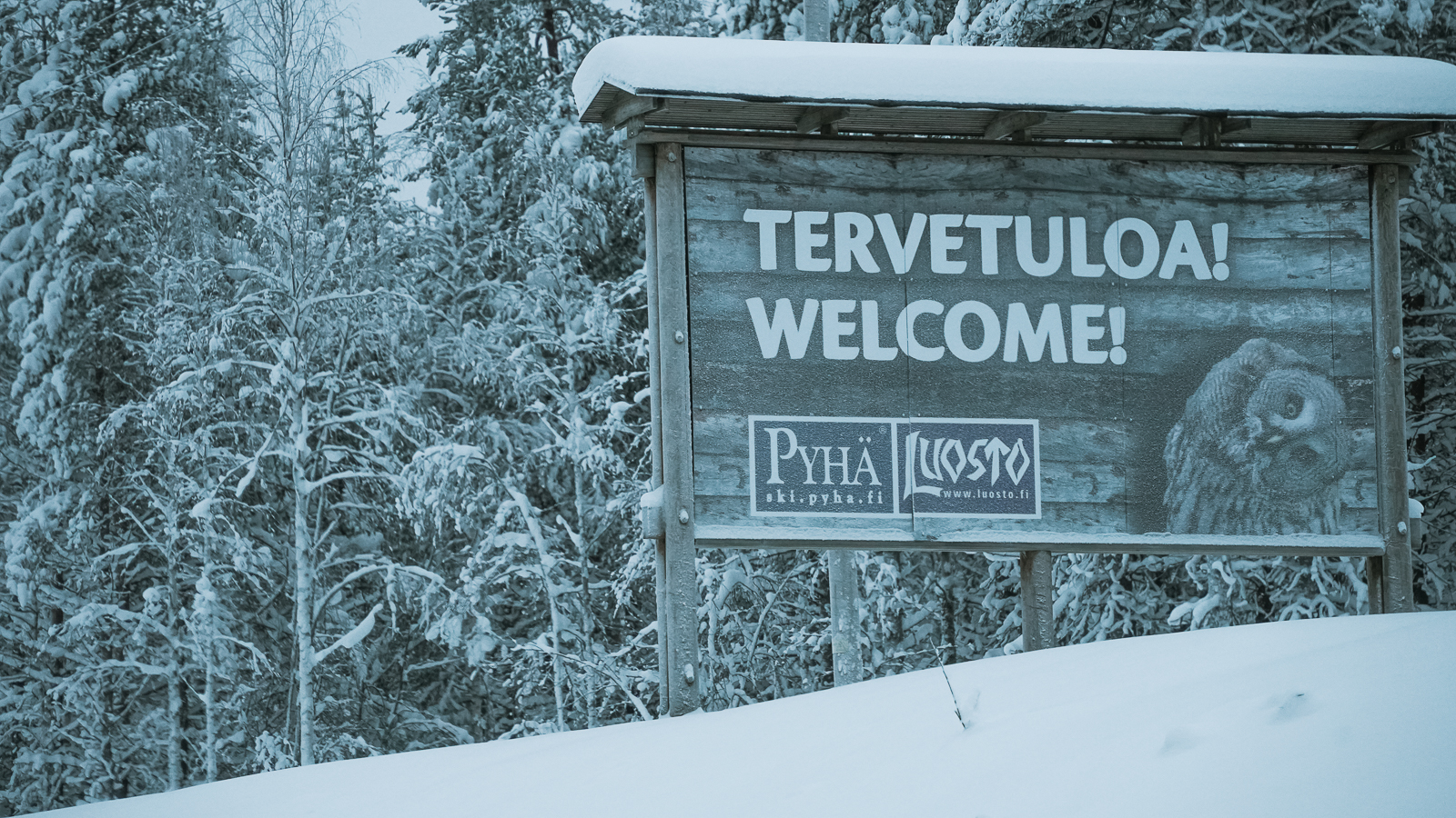 How to Visit Pyhä-Luosto National Park in Lapland, Finland - Paula Pins ...