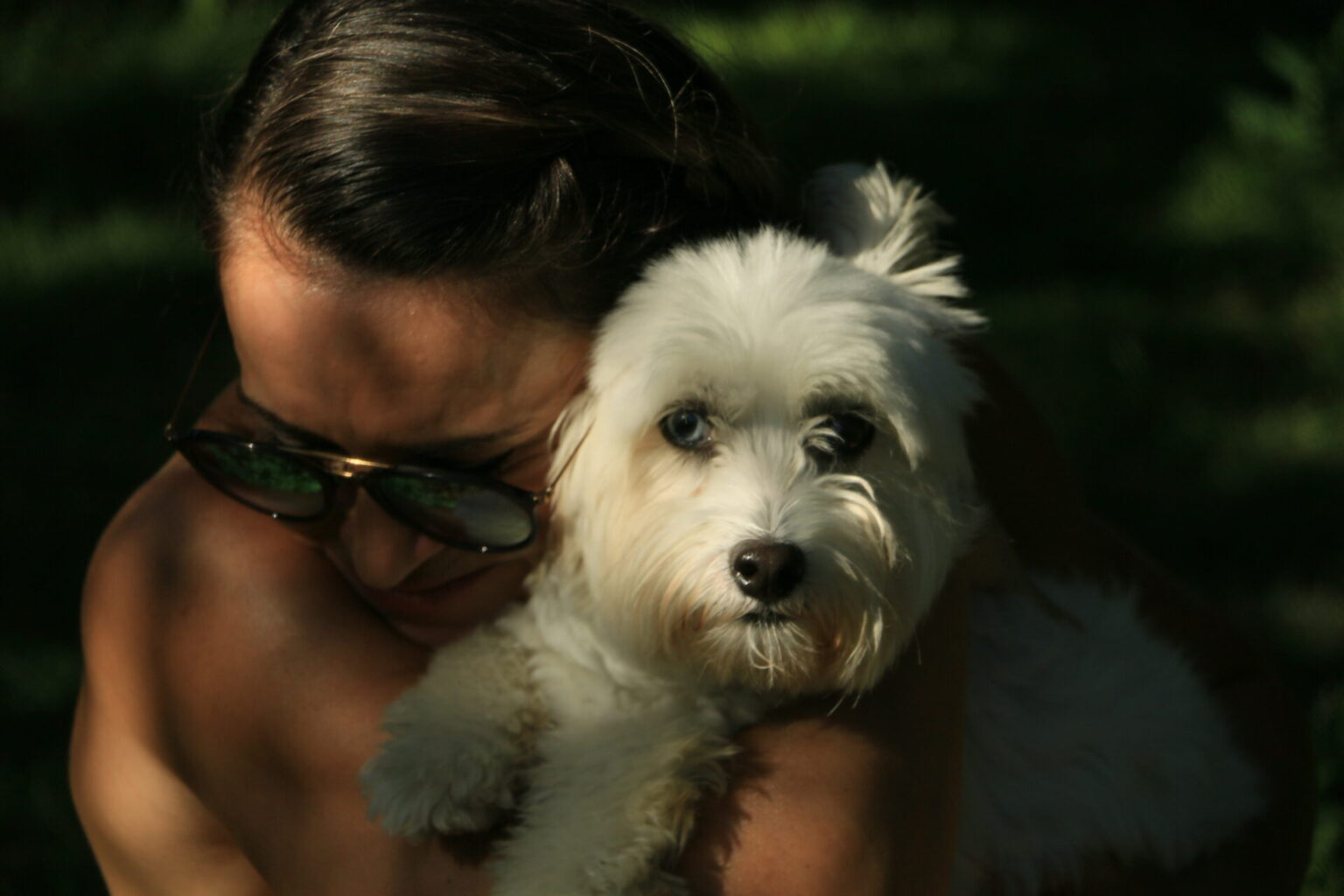 Life and Love with Cooper: Losing my beloved dog! - Paula Pins The Planet